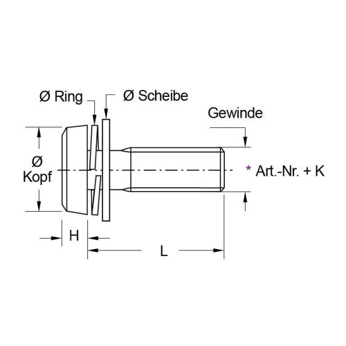 DIN 6900 Kombischrauben - THORA